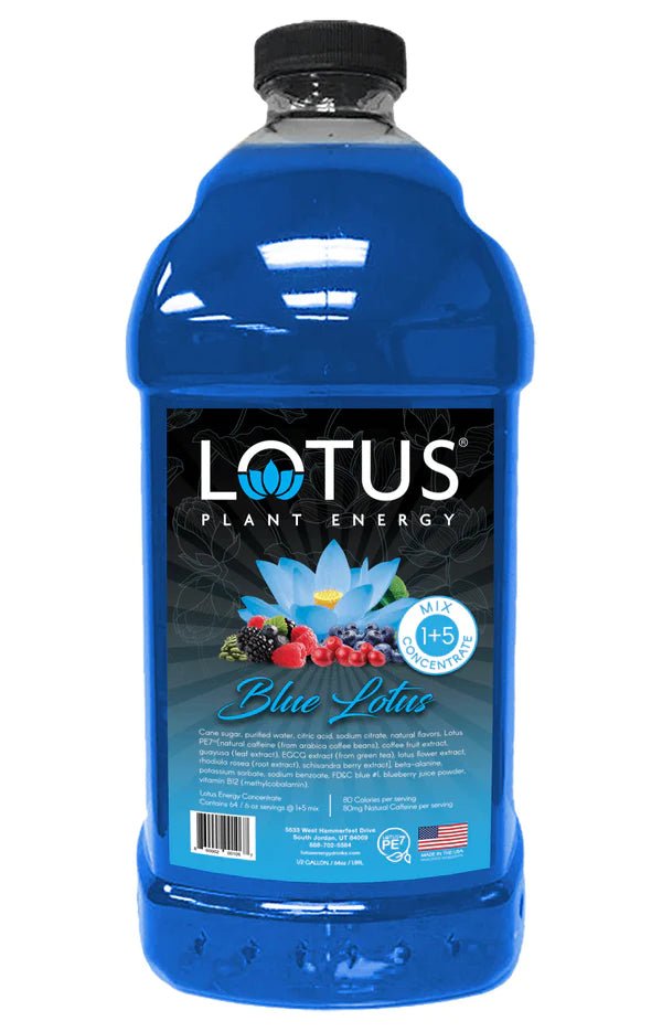 Lotus Energy Blue Concentrates 64oz Bottle - Dilworth Coffee